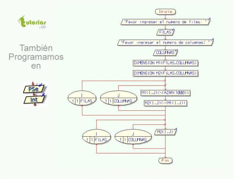 ciclo para – pSeint (clonar una matriz) | Tutorias.co
